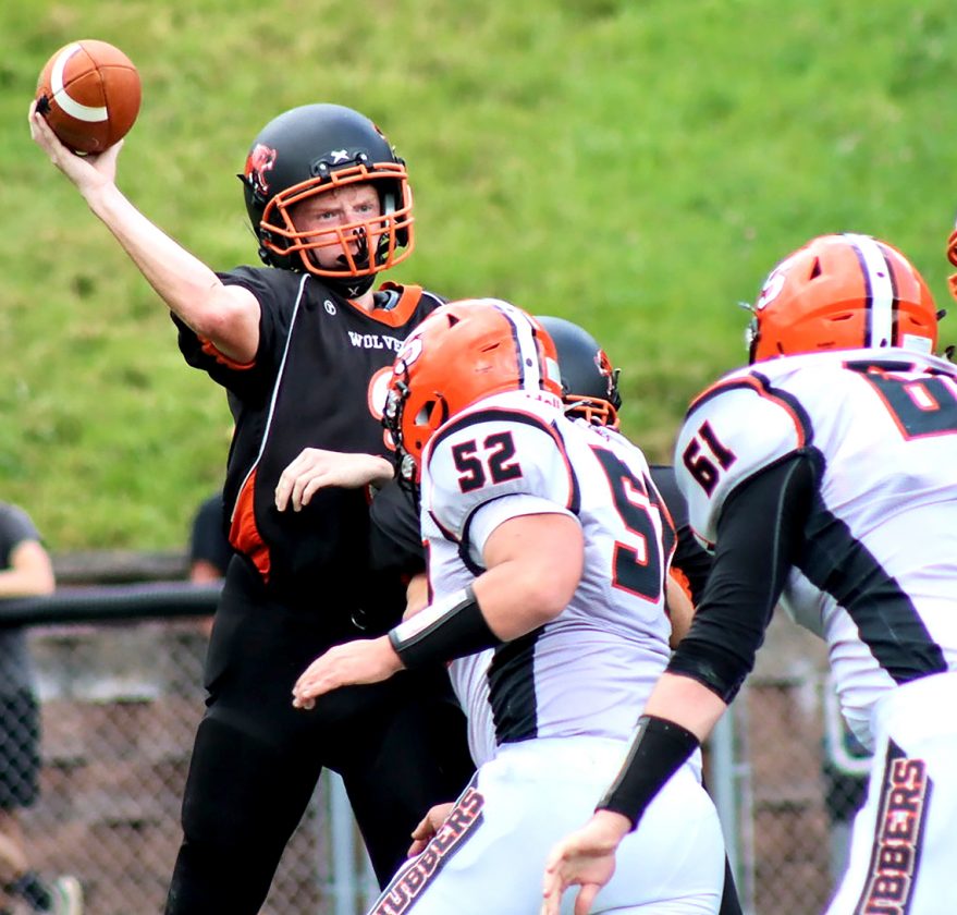 Wolverines fall at home | News, Sports, Jobs - Times Observer